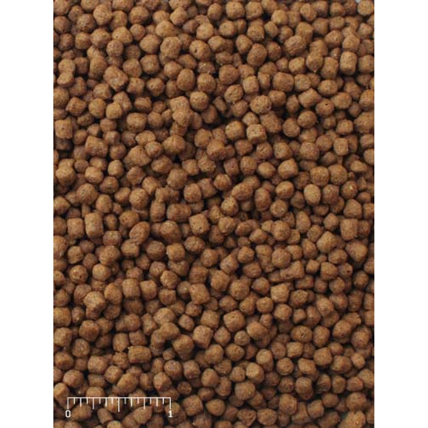 Mazuri® Aquatic Turtle Diet 5M87 (200g)